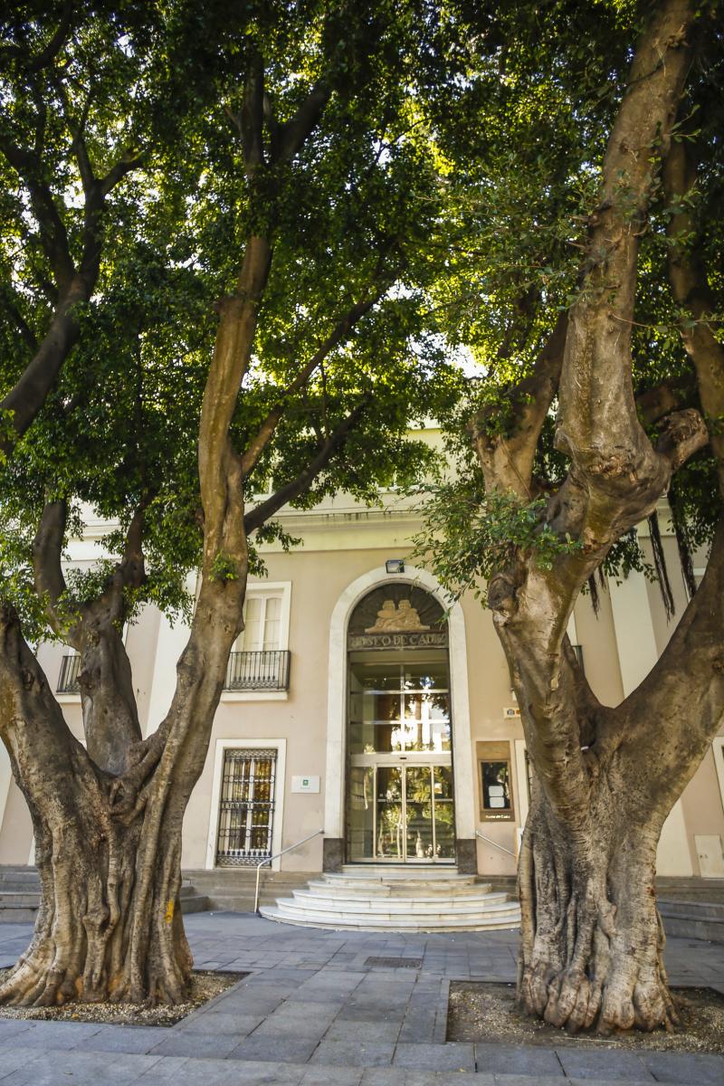 Turismo - Ayuntamiento de Cádiz | Museo de Cádiz